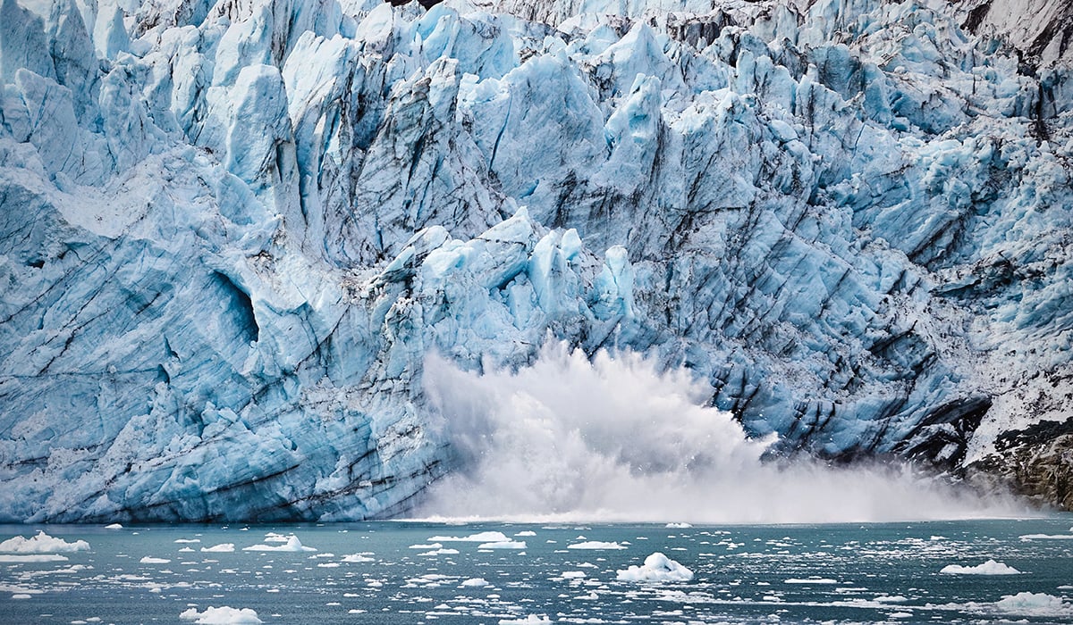Wild Alaska Glaciers