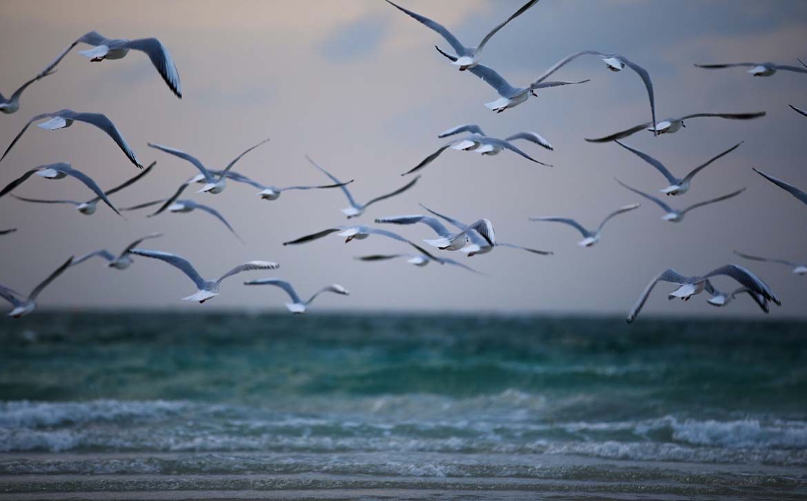 Turkish Seafaring Superstitions