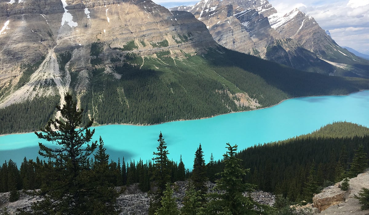 Epic Tour from Banff to Vancouver with Scenic