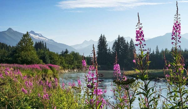 Voyage To Alaska's Natural Miracles with Crystal Cruises