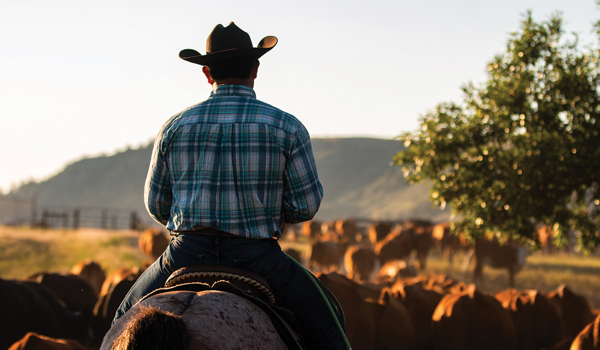 Modern-Day Wild West