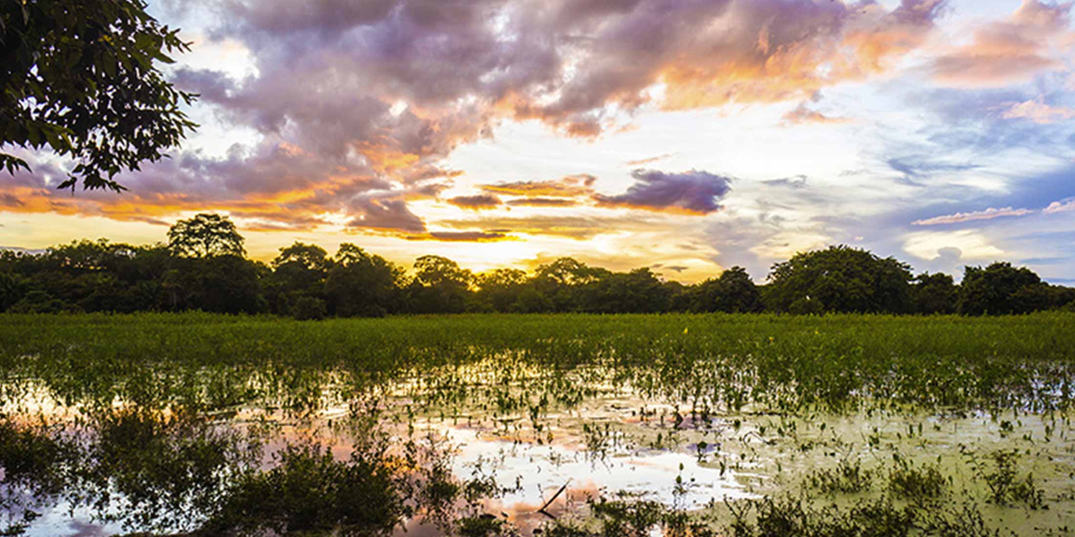 Explore the Amazon with Avalon Waterways